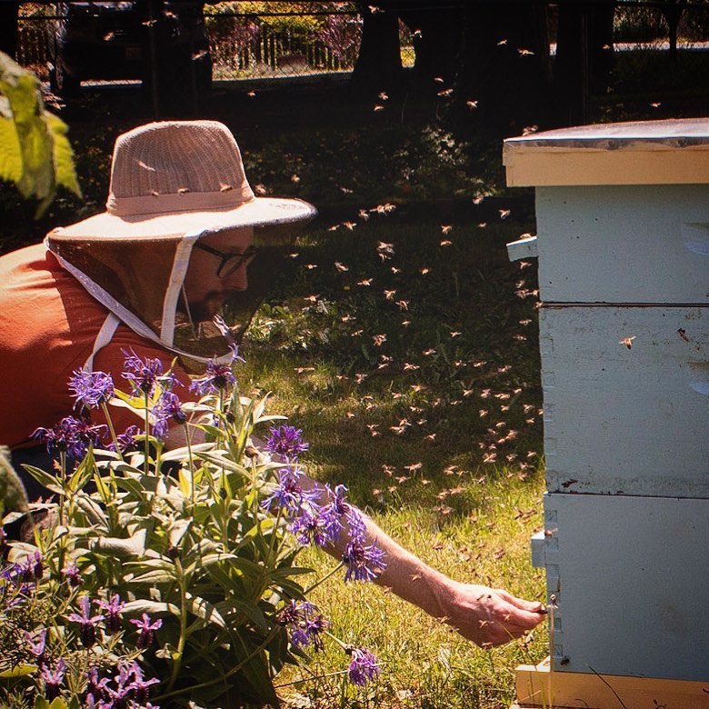 Washington State Beekeepers out of the Puget Sound/Greater Seattle Area ...