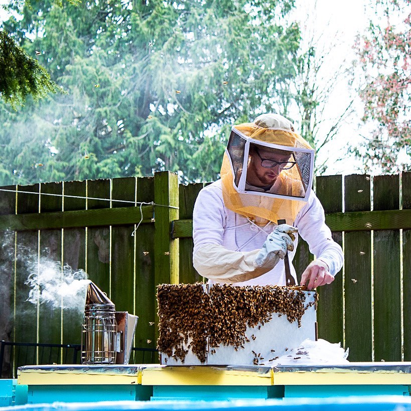 Washington State Beekeepers out of the Puget Sound/Greater Seattle Area ...